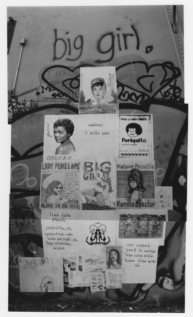 YoYo a GoGo 1994 Oral History: 30 Years Later, Part 1 – chickfactor zine